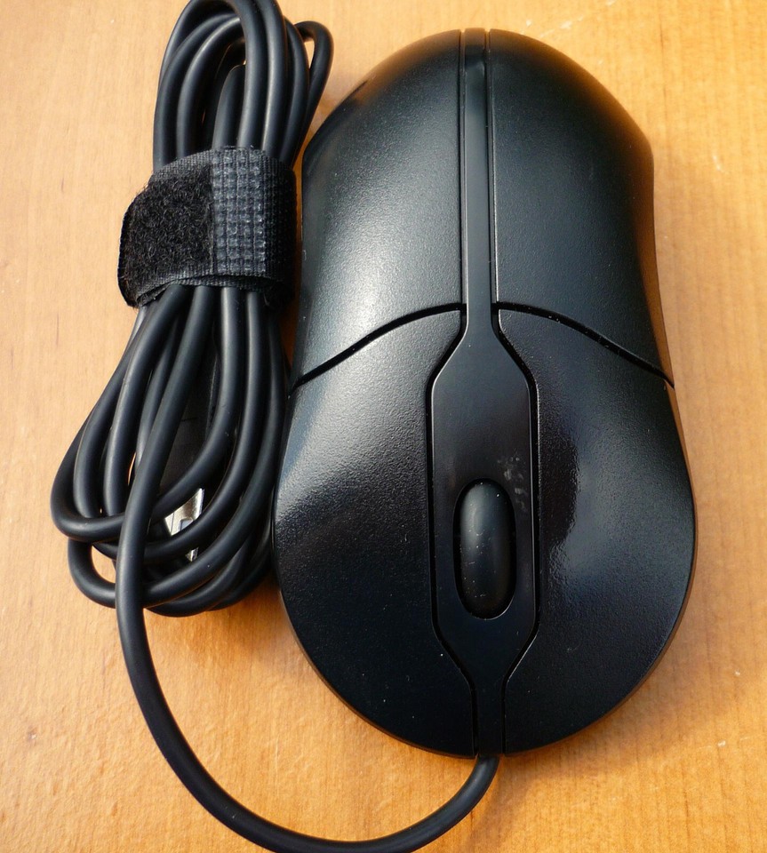 DELL Optical Wheel Mouse MOC5UO USB Wired - Cleaned & Tested | eBay