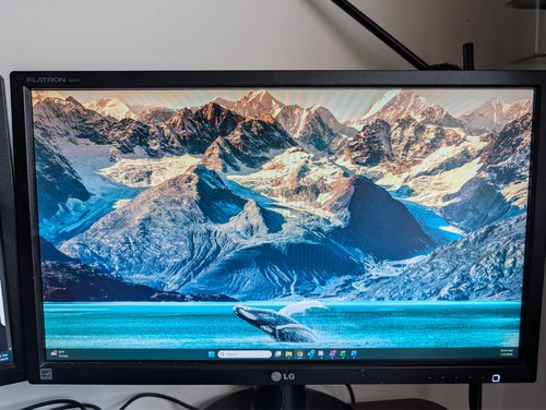 LG computer monitor/screen 24 inch with stand & cables LG E2411PB-BN ...