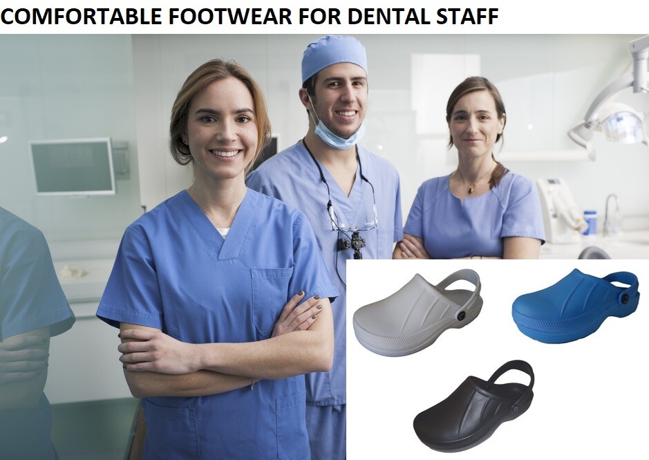 Full Kitchen Clogs Black Blue Chefs Shoes Safety Footwear Garden ...