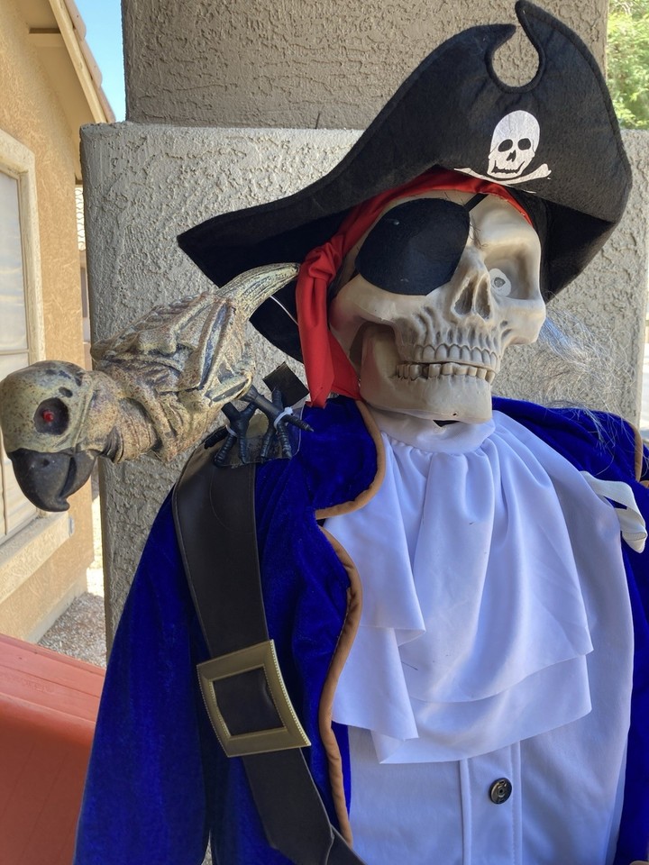 5 Ft Animated Skeleton Pirate Home Accent Halloween Home Depot ...