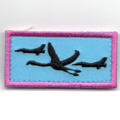 AIR FORCE TYNDALL AFB UABMT HOOK & LOOP EMBROIDERED JACKET PATCH | eBay