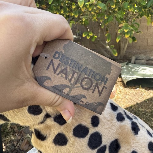 Aurora Destination Nation Realistic Cheetah Cat Stuffed Animal Plush ...