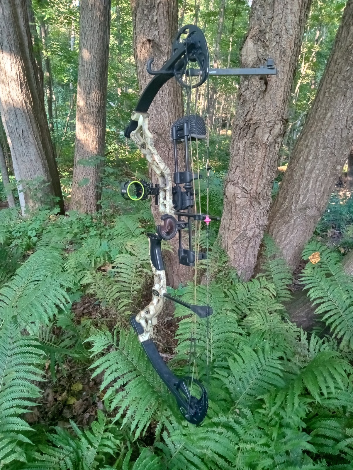 Diamond Bowtech Infinite Edge Camo RH | eBay