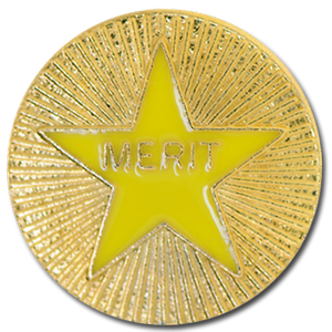 Yellow Star Merit Award On Gold Round Pin Badge For Schools | eBay