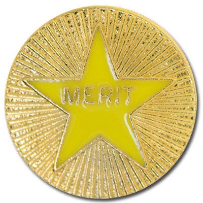 Yellow Star Merit Award On Gold Round Pin Badge For Schools | eBay