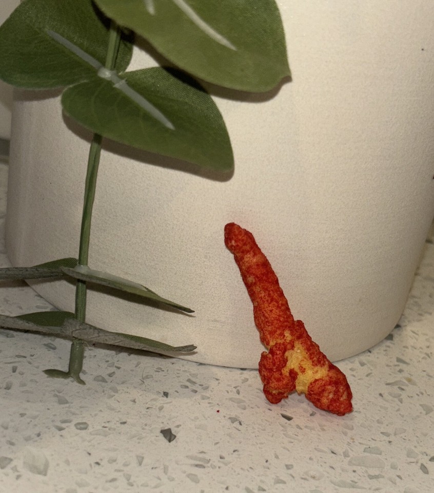 EXTREMELY RARE ONE OF A KIND DINOSAUR PENISAURUS SHAPED CHEETO ...
