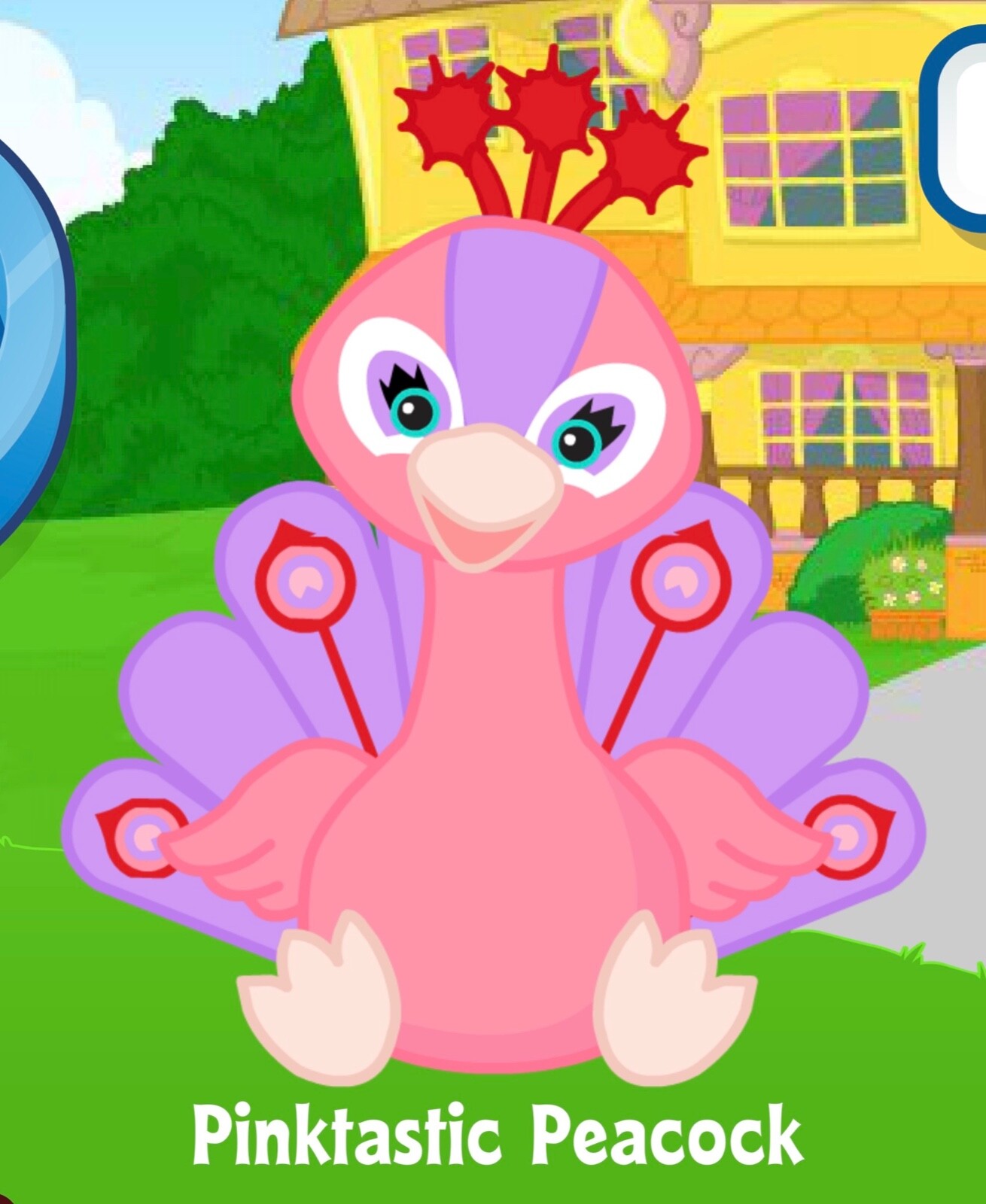 Webkinz Classic Pinktastic Peacock - hm357 - Virtual Adoption Code Only ...