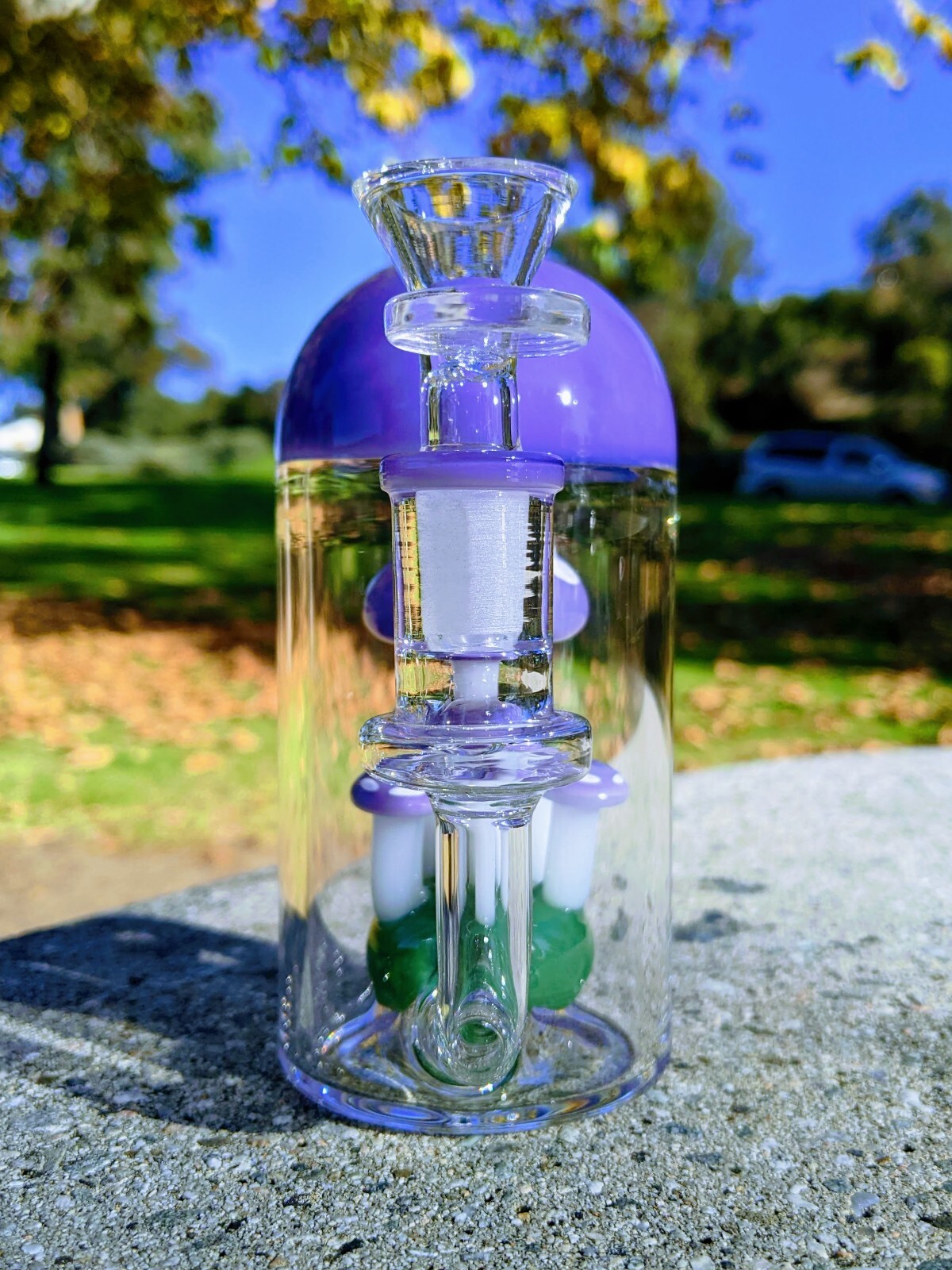 6" Plum Capsule Mushroom Perc Premium Quality Water Pipe Hookah Bubbler Bong | eBay