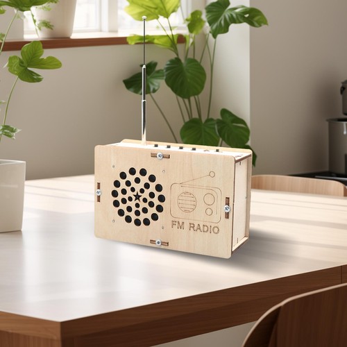 DIY Radio Model Teaching Aids Building Set for Birthday Gift Children ...