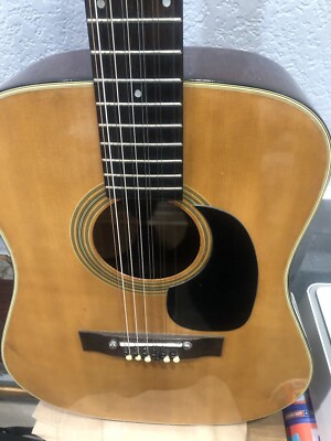 Vintage 1970s Hohner Model HG12 Acoustic 12 String Guitar Read ...