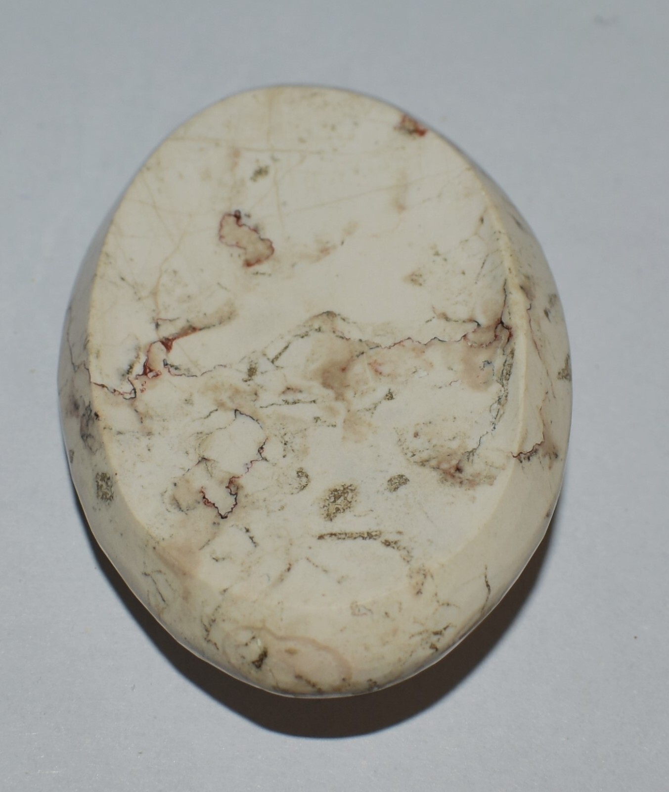 Shellfish Fossil Ancient Seabed Blue Ridge Mountains North Carolina ...