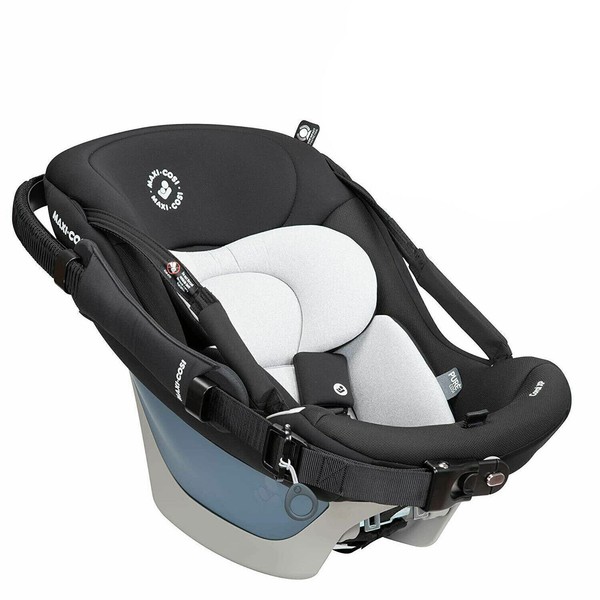 Maxi-Cosi Coral XP Infant Car Seat - Essential Graphite (83930773) for ...
