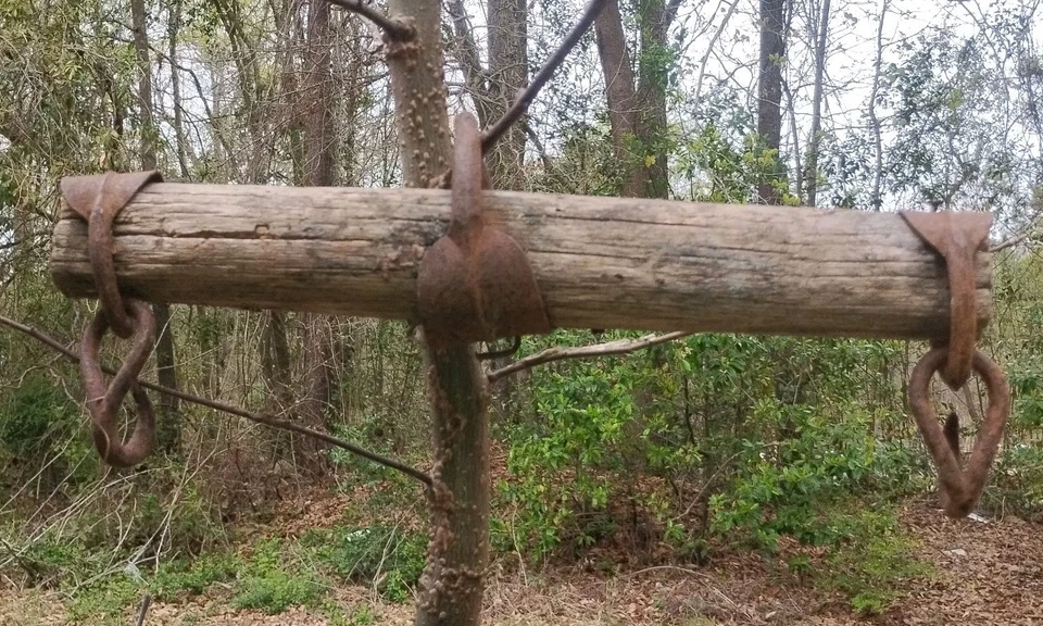 Single Tree for sale | eBay