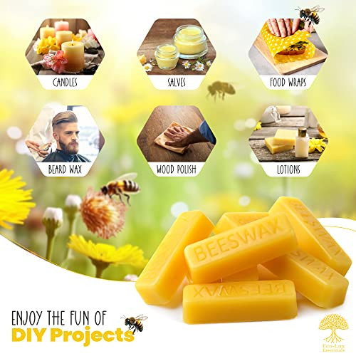 Eco Lux 8 Yellow Beeswax Blocks 100% Pure Natural Organic Bees Wax 6 ...