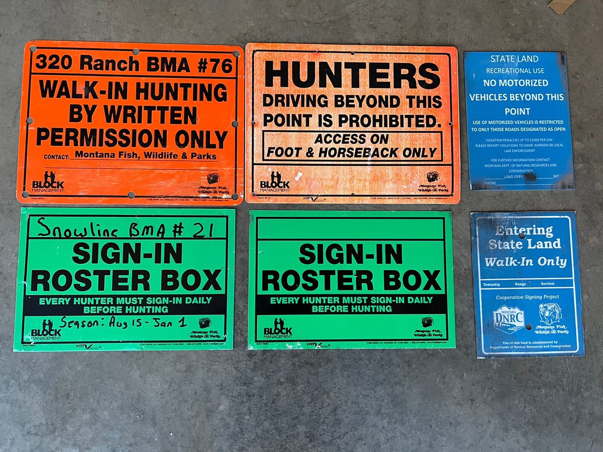 Game Decorland | Shelly Lighting