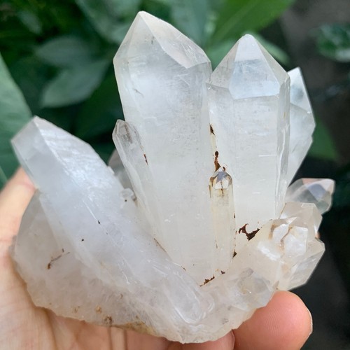 366g Natural Clear White Quartz Crystal Cluster Rough Healing Specimen ...