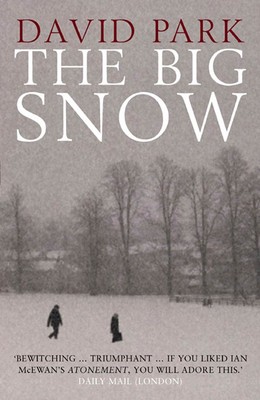 Big Snow - David Park, Bloomsbury USA, Paperback 9781582342931| eBay