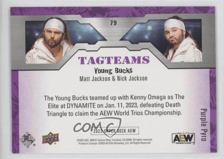 2023 AEW All Elite Wrestling Purple Pyro Young Bucks Matt Jackson Nick ...