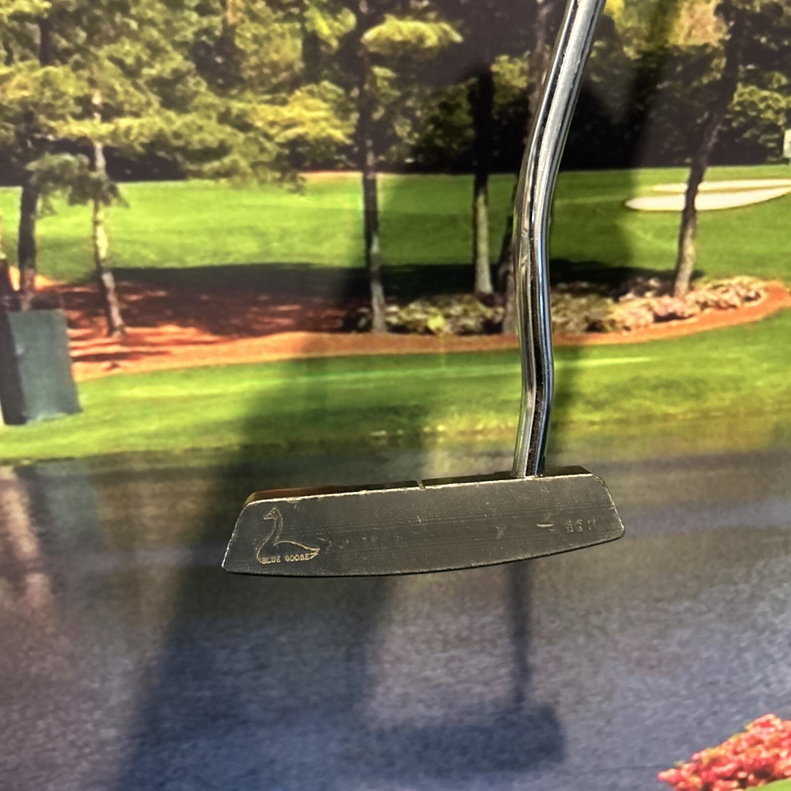 Ray Cook Blue Goose II 35 Inch Right Handed Putter Needs Grip | eBay