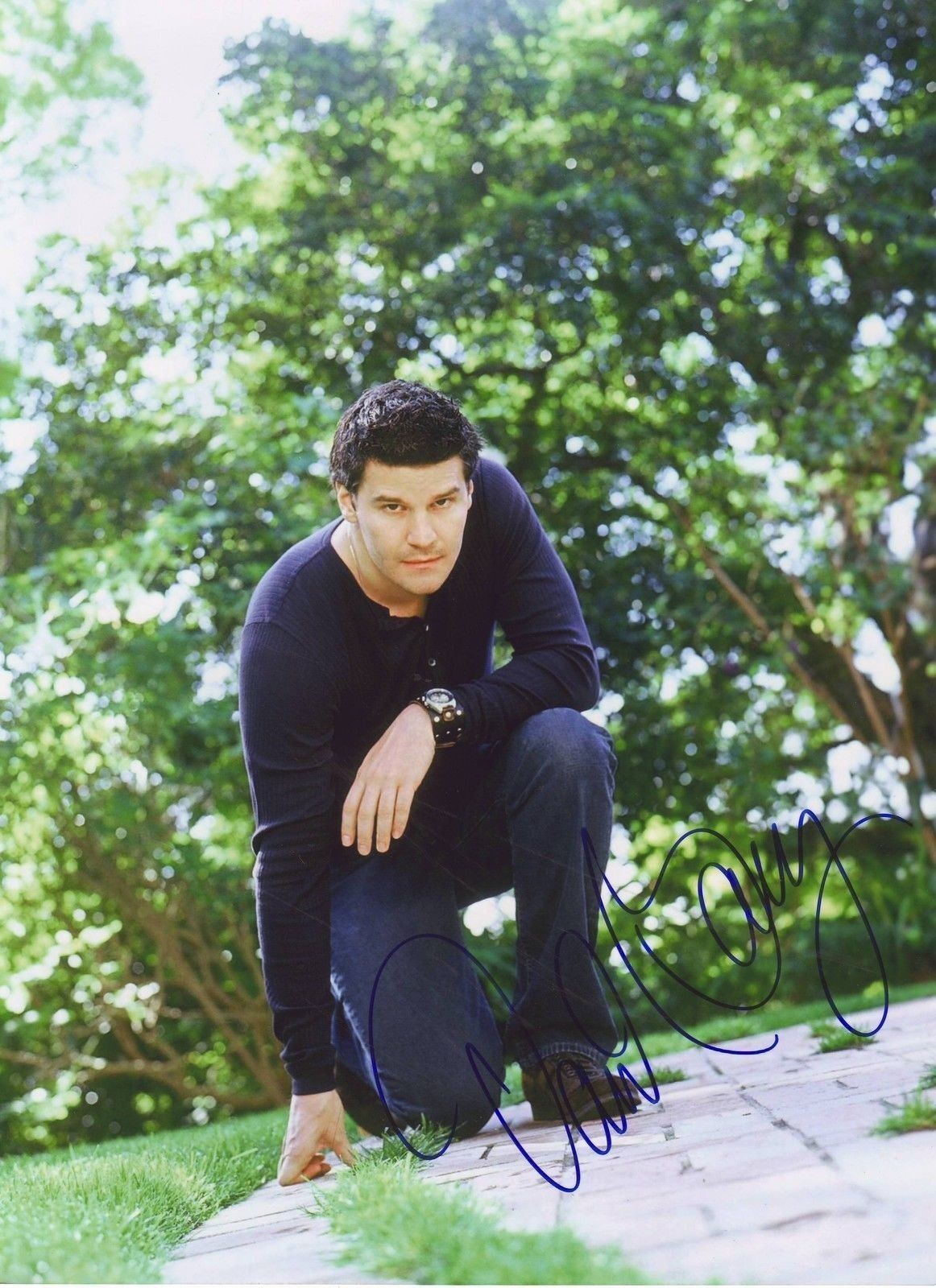 DAVID BOREANAZ AUTOGRAPH SIGNED PP PHOTO POSTER | eBay UK