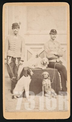 Great CDV, Soldiers & 3 Hunting or Military Guard Dogs 1800s Photo | eBay