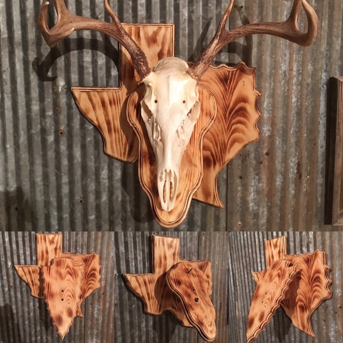 European Deer Mount Plaques Skull Plate Screw Roe Deer 2 Pcs Hunting