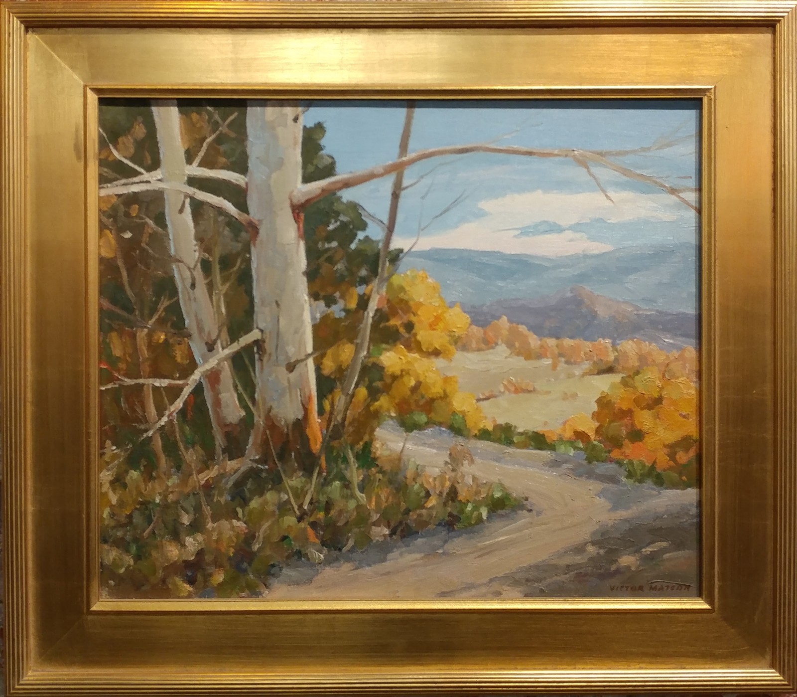 Victor Matson - California Sycamore Trees - Beautiful Oil painting ...