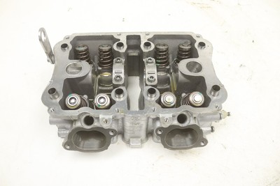 Arctic Cat Textron Havoc X 19 Engine Cylinder 403041 50520 | eBay