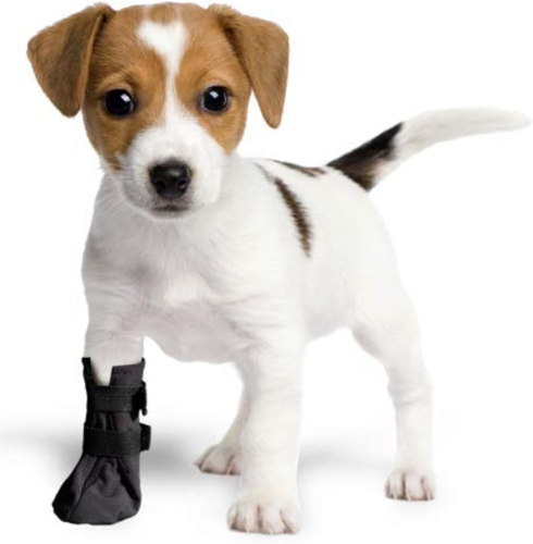 Wound Recovery Boot for Dogs. Protects and Heals Paw. Made from ...