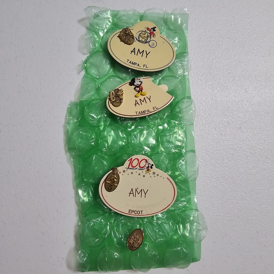 Walt Disney World 1, 5, 10 Year Cast Member Service Pin And AMY Name ...