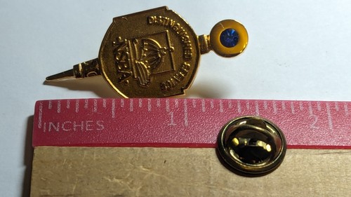 NSBA DISTINGUISHED SERVICE NSBA AWARD PIN PINBACK | eBay