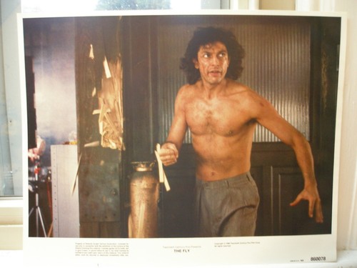 1986 Vintage Remake THE FLY the Motion Picture 11" X 14" Lobby Cards ...