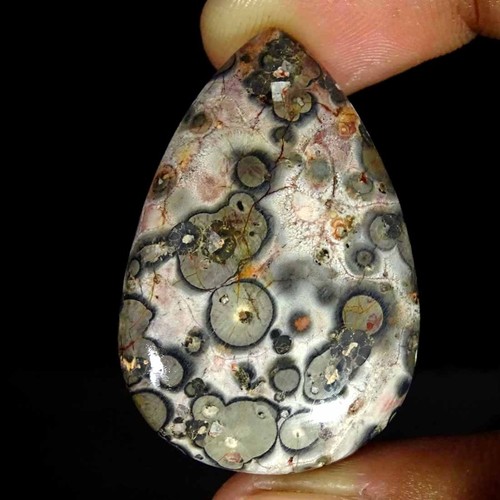 36.80Cts Natural Leopard Skin Jasper Pear Cabochon Loose Gemstone ...