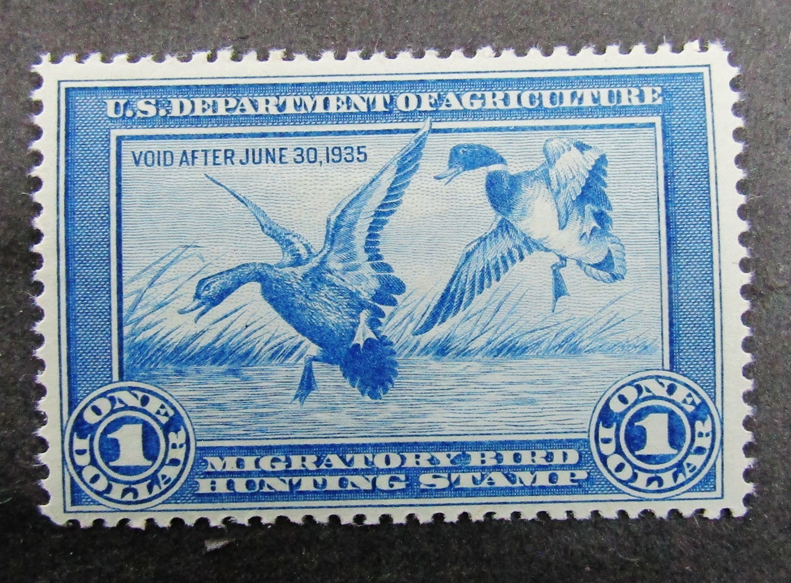 nystamps US Duck Stamp # RW1 Mint OG NH $800 Gum Skip M20x1524 | eBay