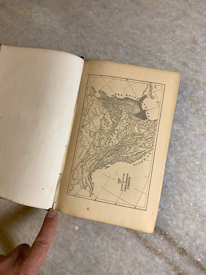 Antique 1860 US Patent Office Report Agricultural Agriculture Book ...