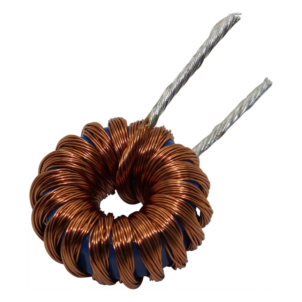 DTMSS-27%2F0.022%2F30-V+Drossel+Draht+THT+22uH+30A+3+7m%CE%A9+FERYSTER ...