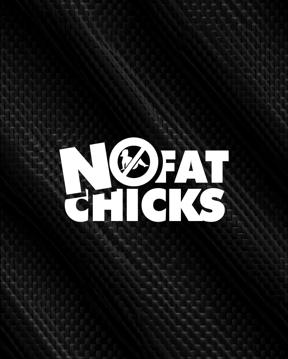 No Fat Chicks Decal, sticker, funny, jdm, car, truck | eBay