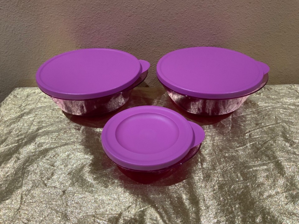 New Tupperware Beautiful Color and UNIQUE Acrylic Serve N Store Purple ...