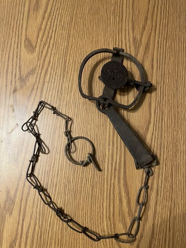 Old Vintage TRIMUPH No 1 Long Spring Trap Trapping cast jaws | eBay