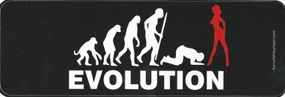 Male Evolution Bumper Sticker | eBay
