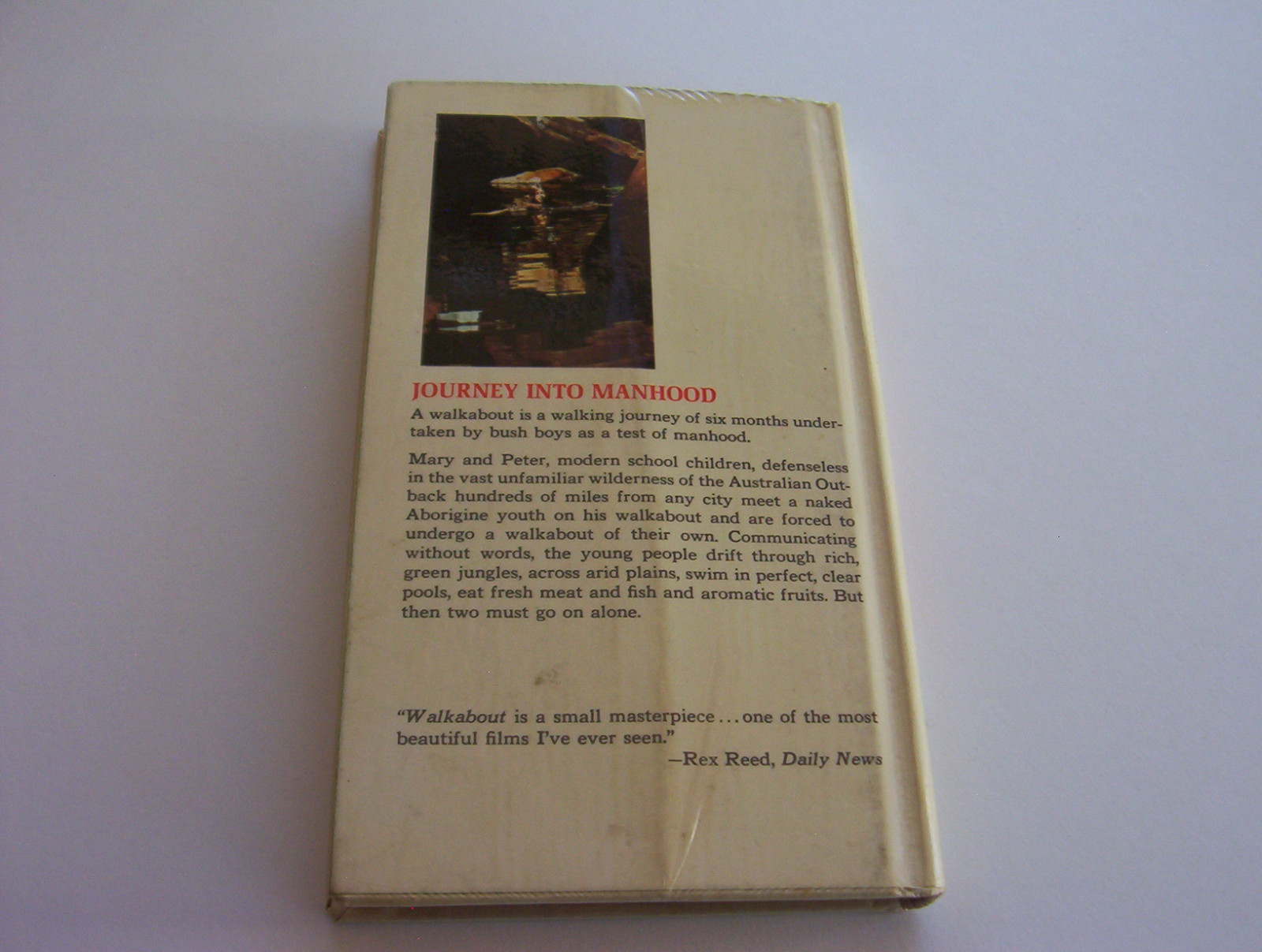 WALKABOUT 1971 JAMES VANCE MARSHALL JENNY AGUTTER RARE MOVIE TIE-IN | eBay