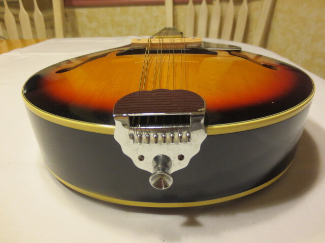 Hondo Mandolin - Sunburst Finish | eBay