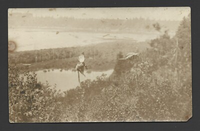 Birds Pheasant Duck The Willamette Valley Oregon NOKO 1907-1929 RPPC ...