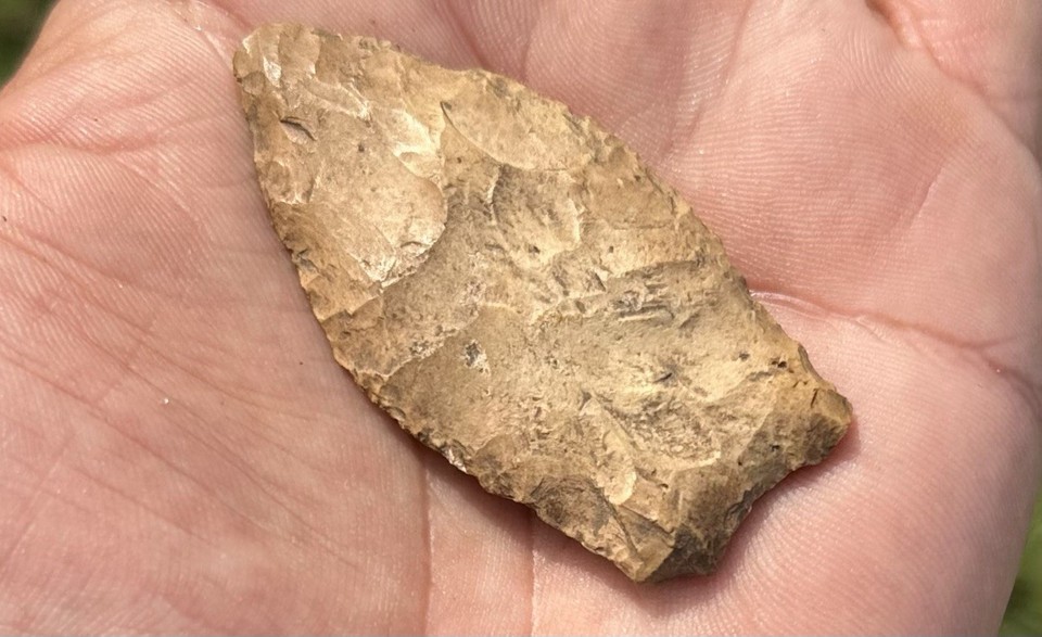 2 3/8” Florida PALEO SIMPSON ARROWHEAD INDIAN ARTIFACT For Collection ...