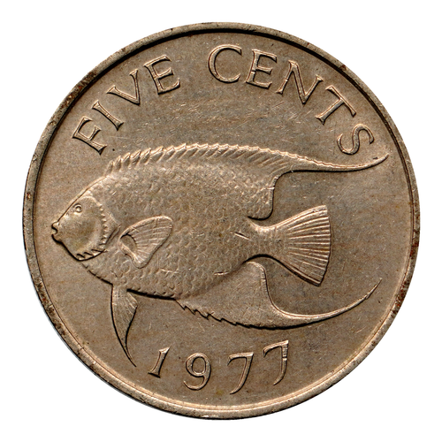 1977 Bermuda 5 Cents Coin, km16, Mintage 500,000 - Rare Coin 🇧🇲 | eBay