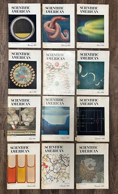 Vintage Scientific American Magazine, 1966, Good Condition, SOLD ...