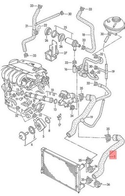 Genuine Volkswagen Coolant Hose VW Clasico Jetta Golf Variant ...