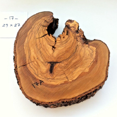 11x10 inc. Unique Olive Root Burl Slab, Wonderful Wood Slab for Coffee ...
