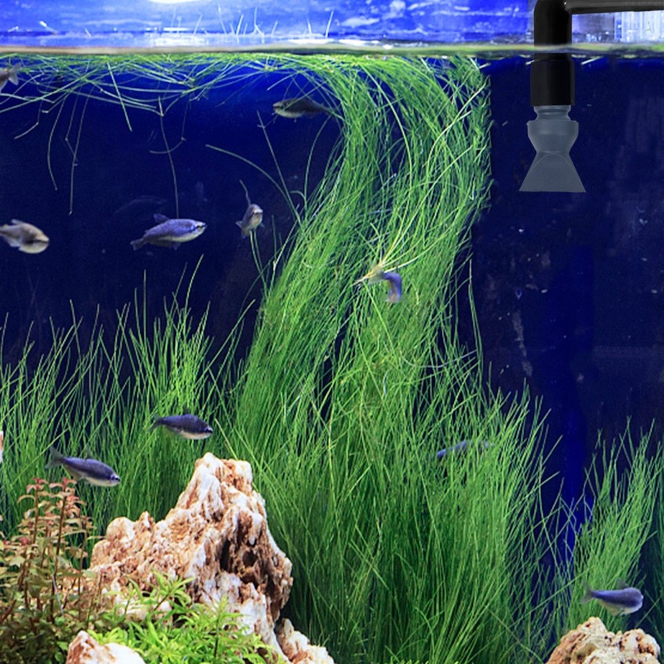 Water Outlet for Fish Tank Aquarium Hose Connector Nozzle Plastic ...