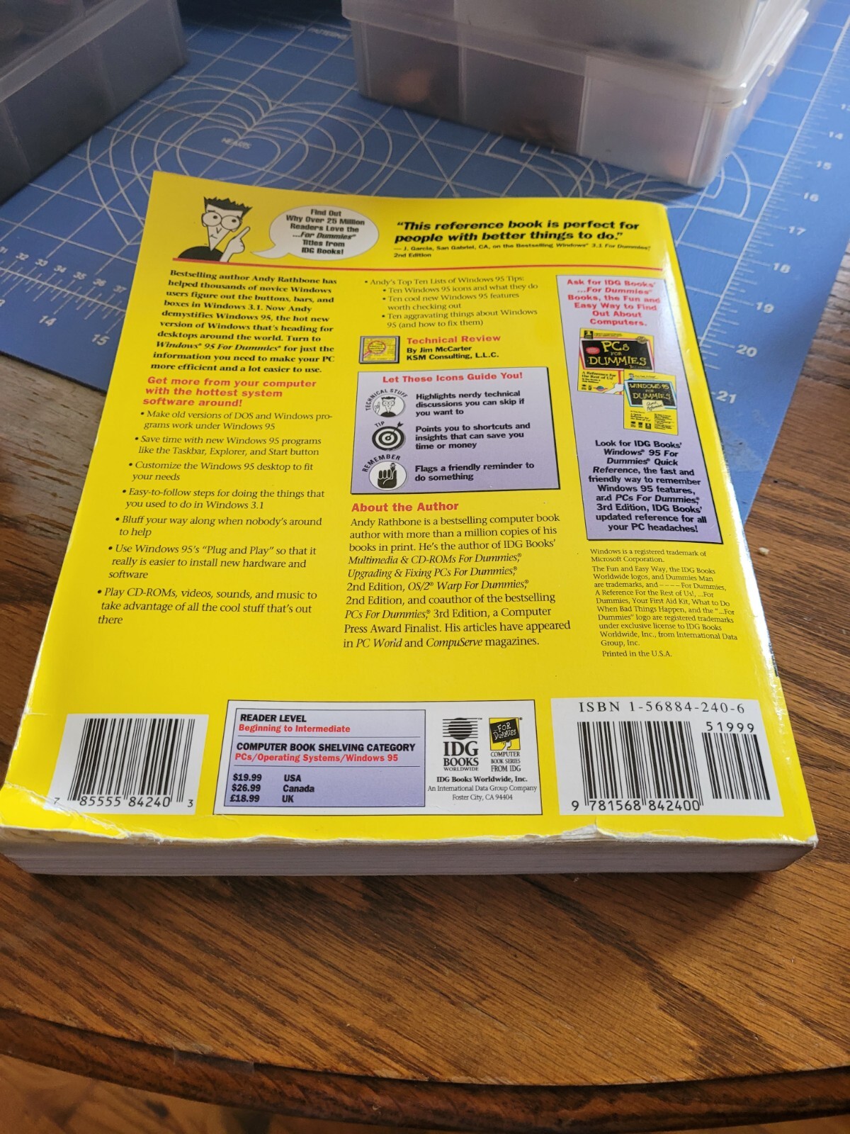 Windows 95 For Dummies 1995 Edition pre-owned Andy Rothbone | eBay